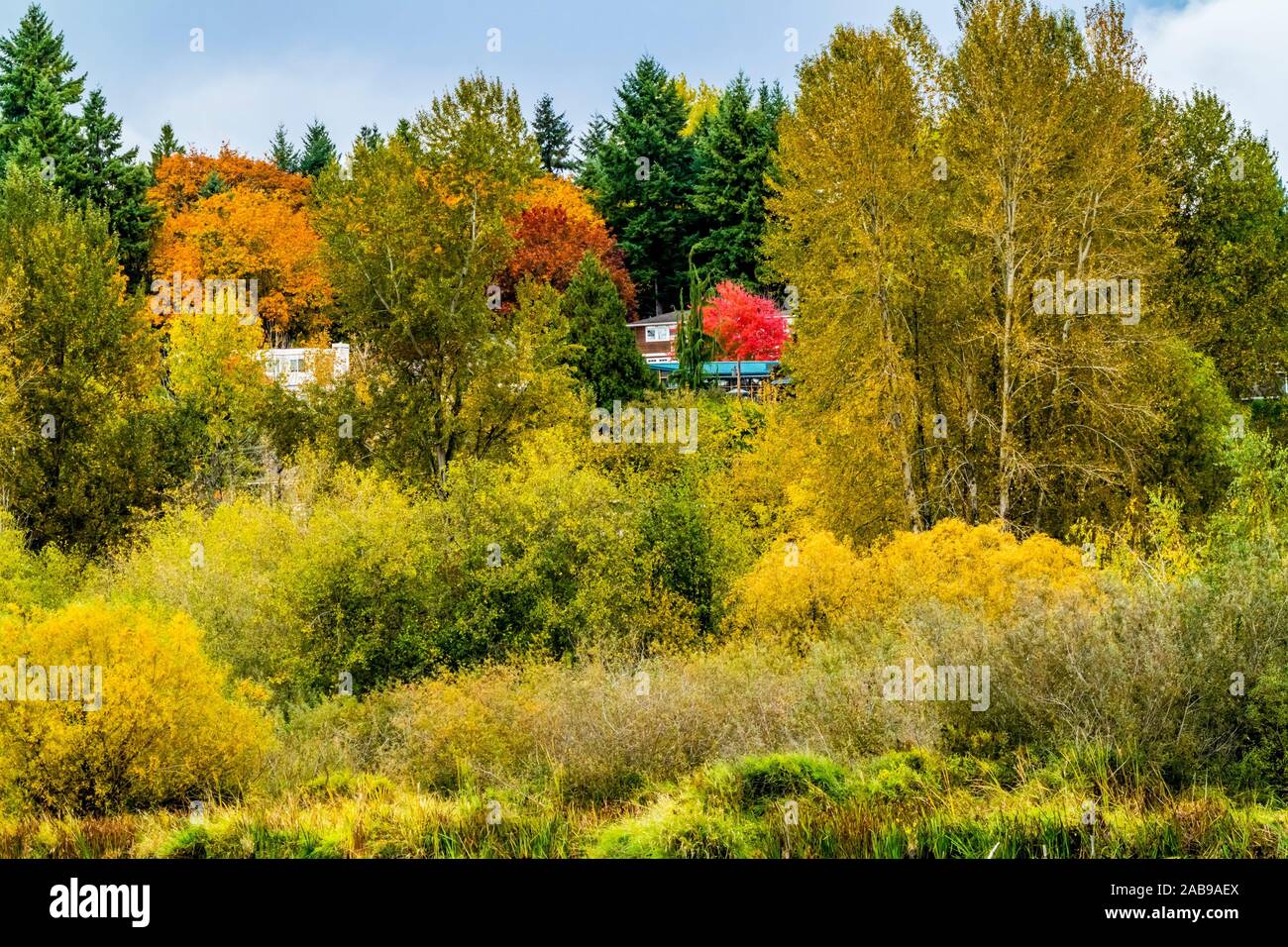 Kirkland washington hi-res stock photography and images - Alamy