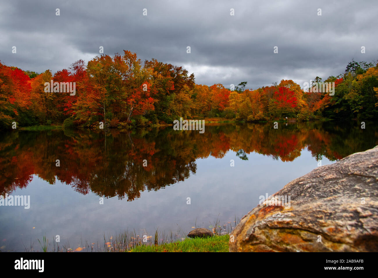 Autumn Leaves and Pond Stock Photo - Alamy