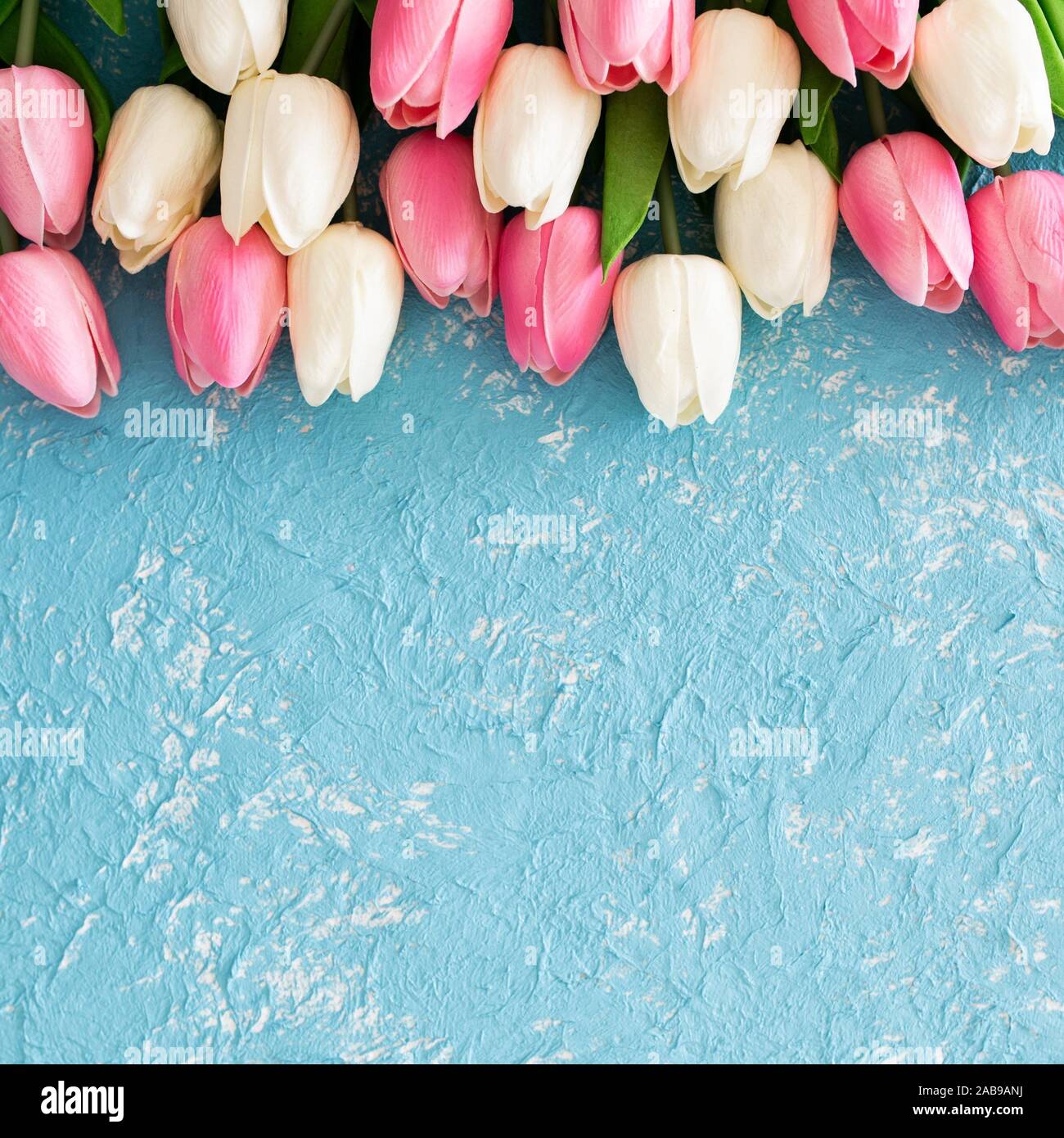 Tulips flowers with copy space for text Stock Photo - Alamy