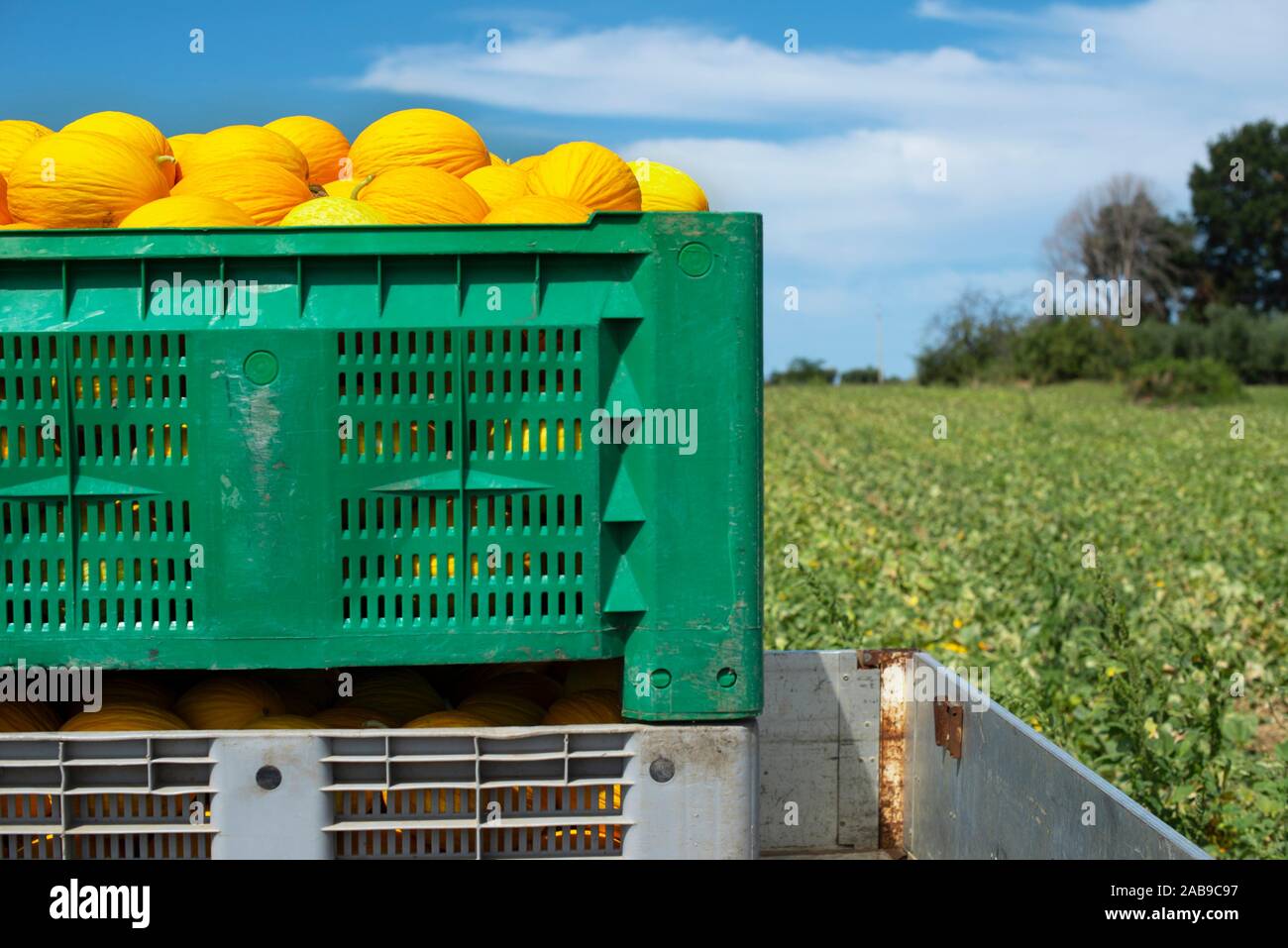 Truck loaded vegetables hi-res stock photography and images - Alamy