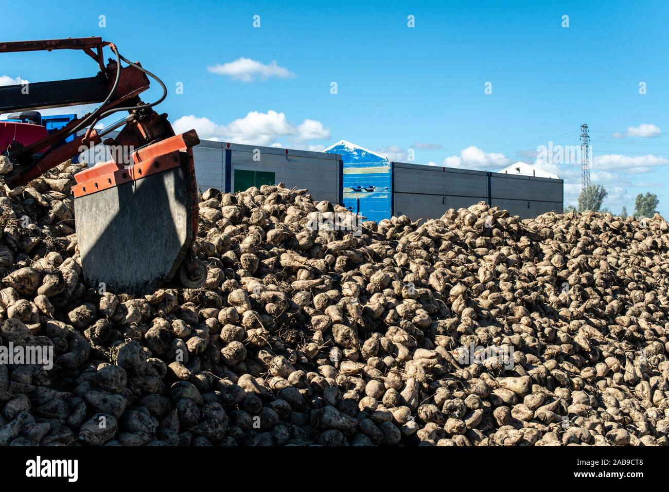 Beet harvesting machine hi-res stock photography and images - Alamy