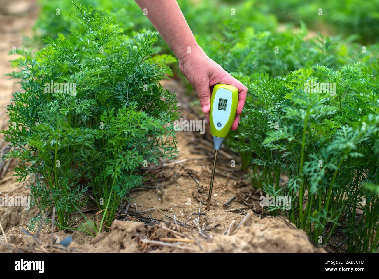 Soil moisture sensor hi-res stock photography and images - Alamy