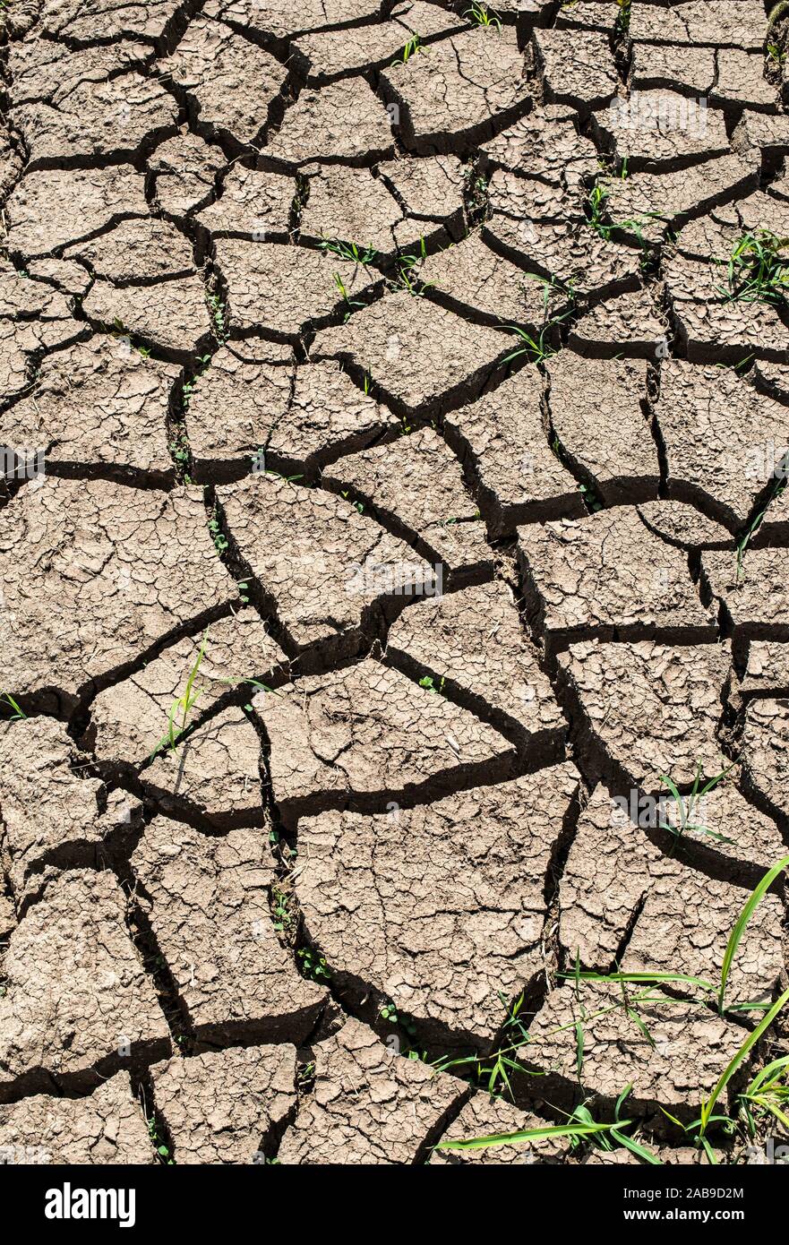 Soil damage from erosion hi-res stock photography and images - Alamy