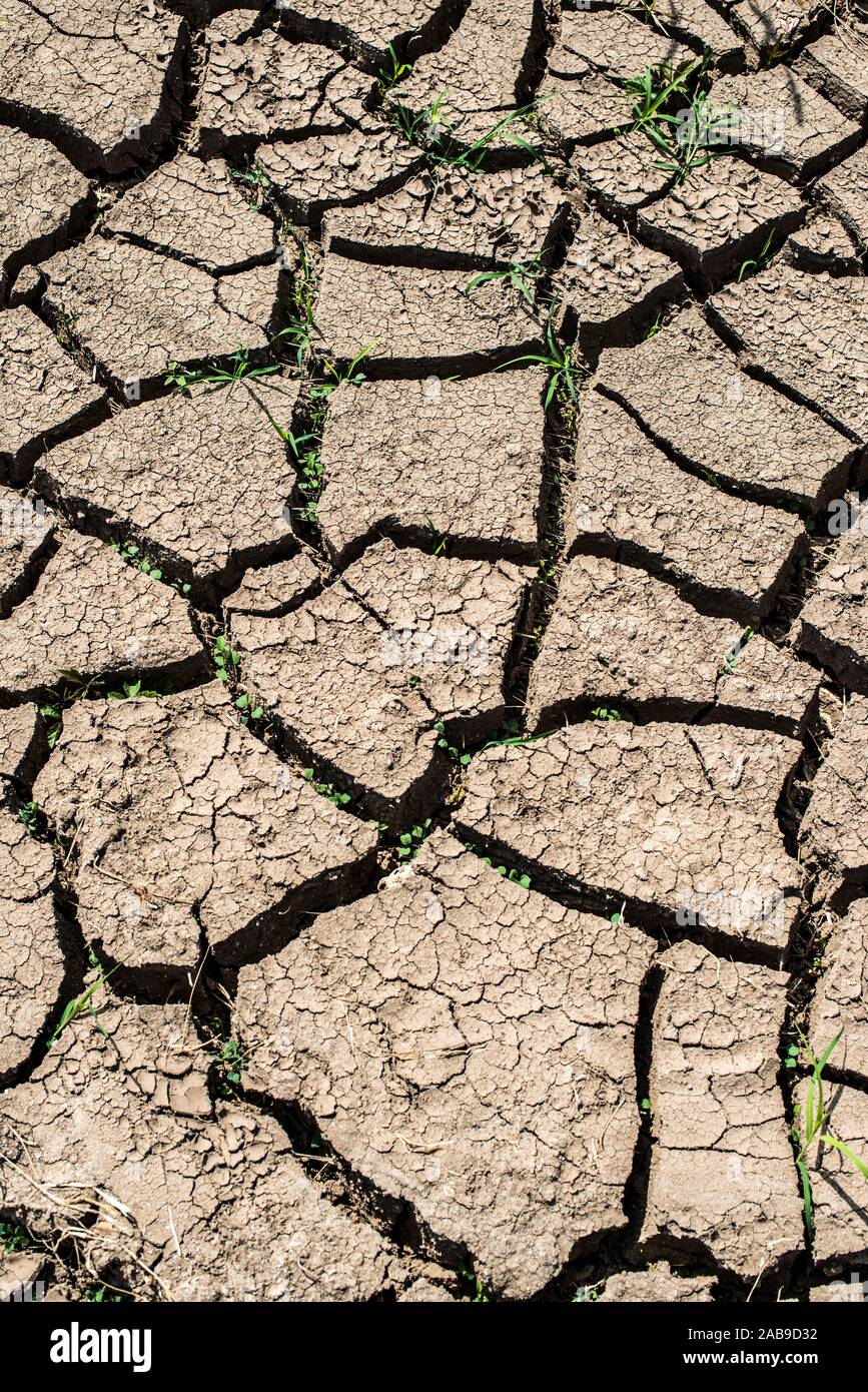 Cracked soil background Stock Photo - Alamy