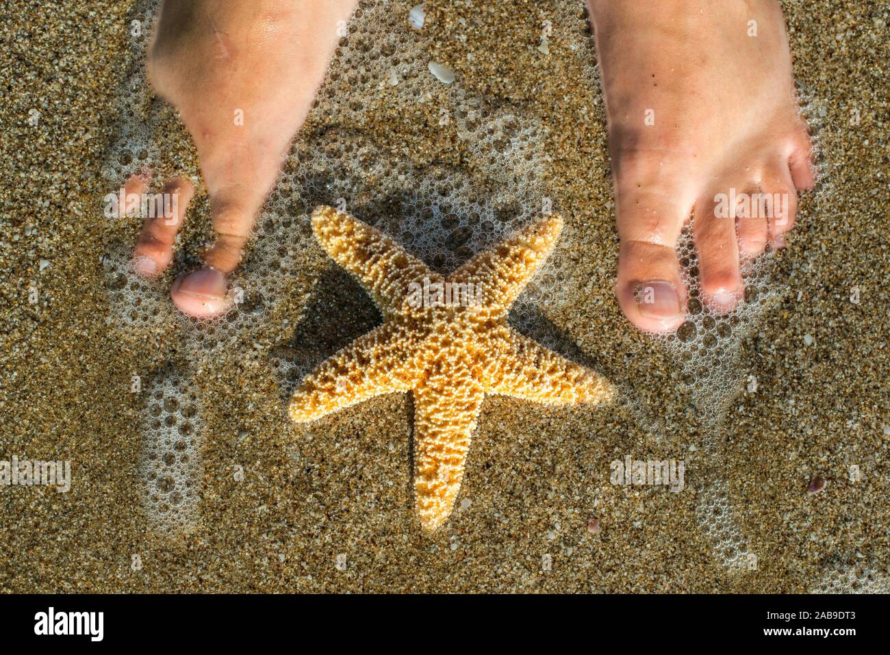 Starfish feet sand hi-res stock photography and images - Alamy