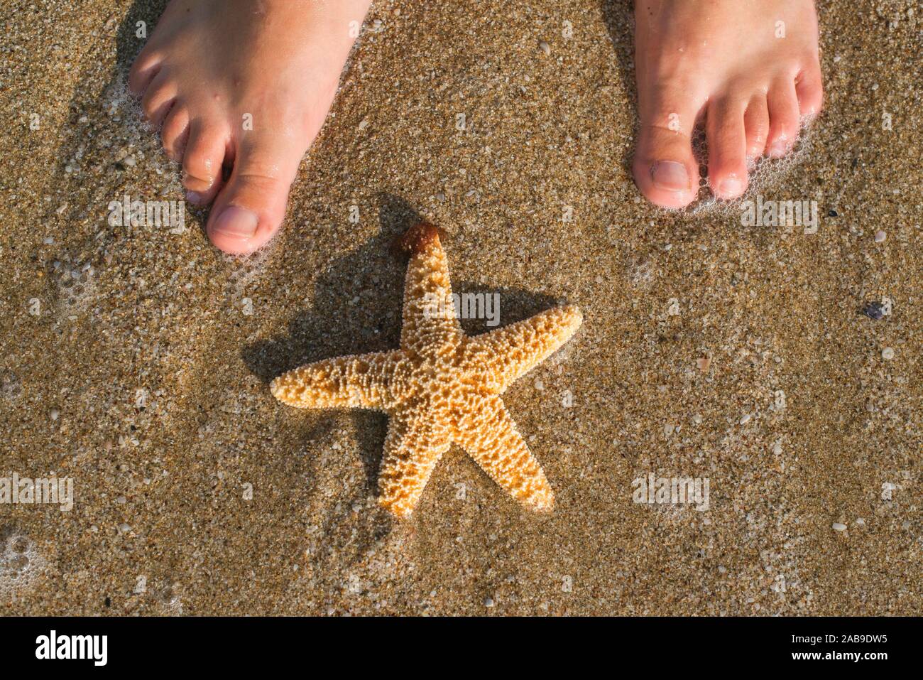 Starfish feet sand hi-res stock photography and images - Alamy