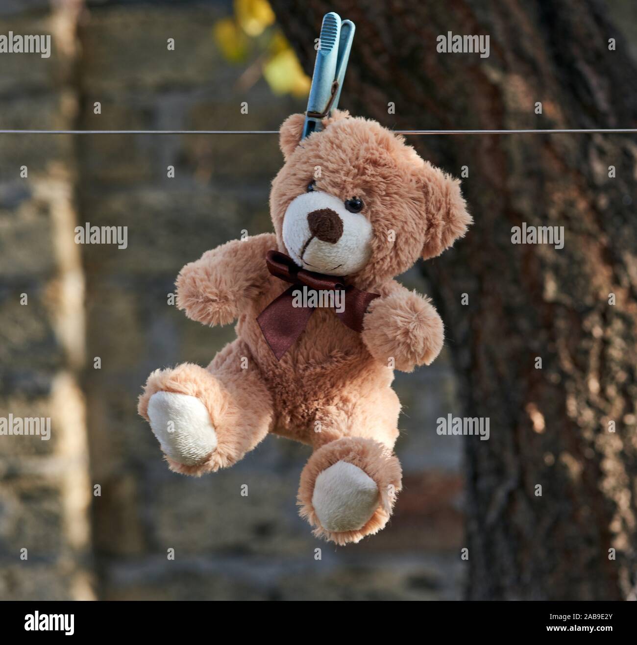 Teddy bear hanging on clothesline hi-res stock photography and images ...