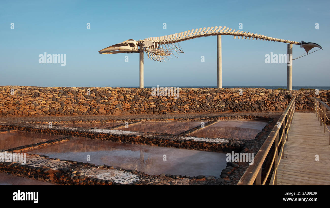 Salinas del Carmen, salt beds at the Museum of salt where salt is ...