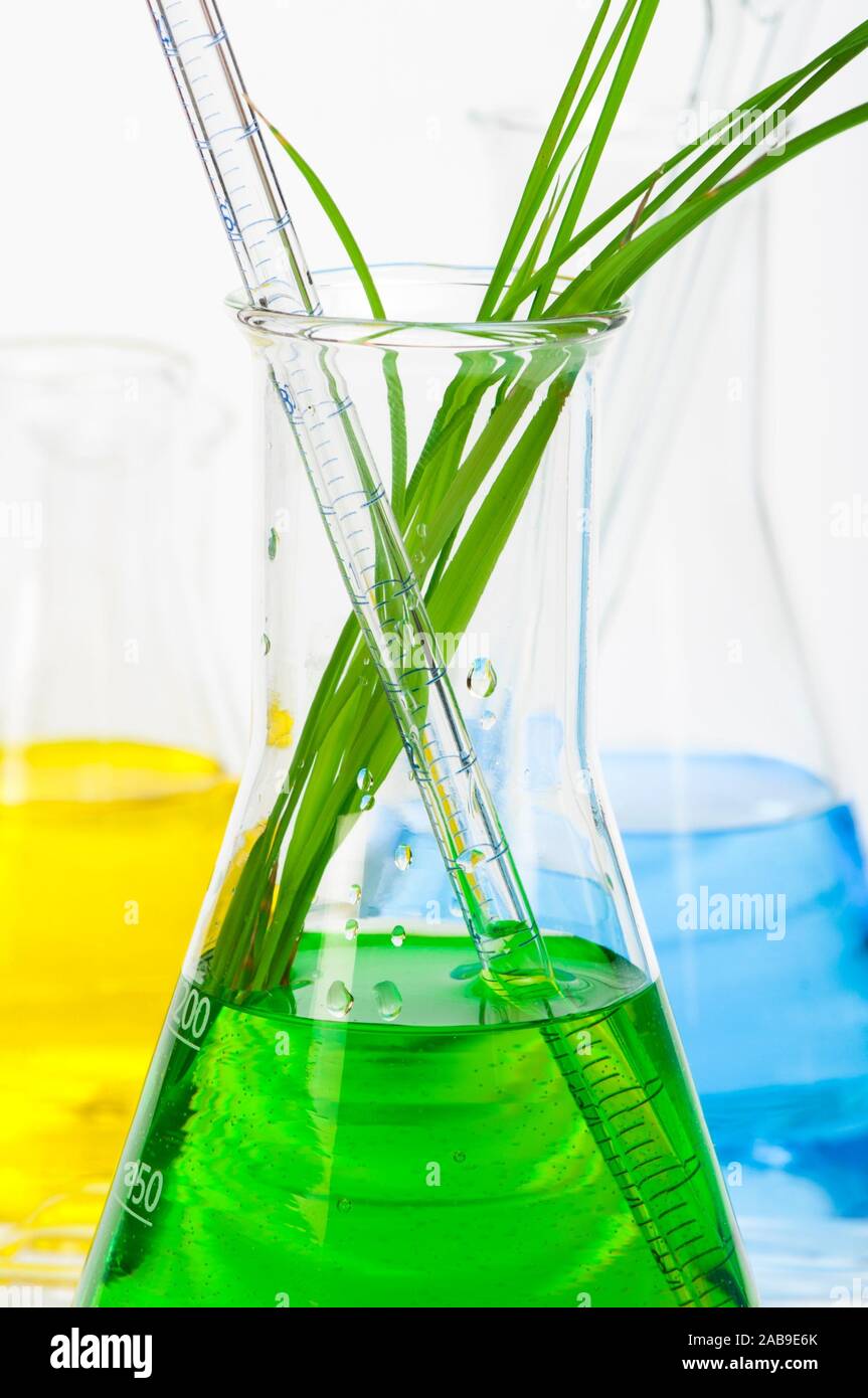 Green plants in laboratory equipment on white background Stock Photo ...