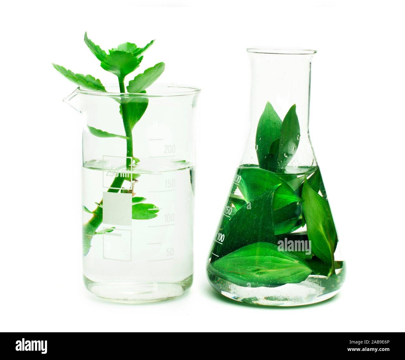 Laboratory of nature hi-res stock photography and images - Alamy