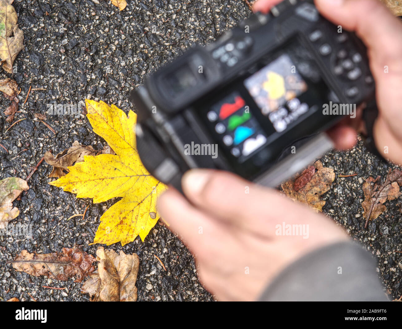 Artist using small mirrorless camera with wide zoom lens. Process of ...
