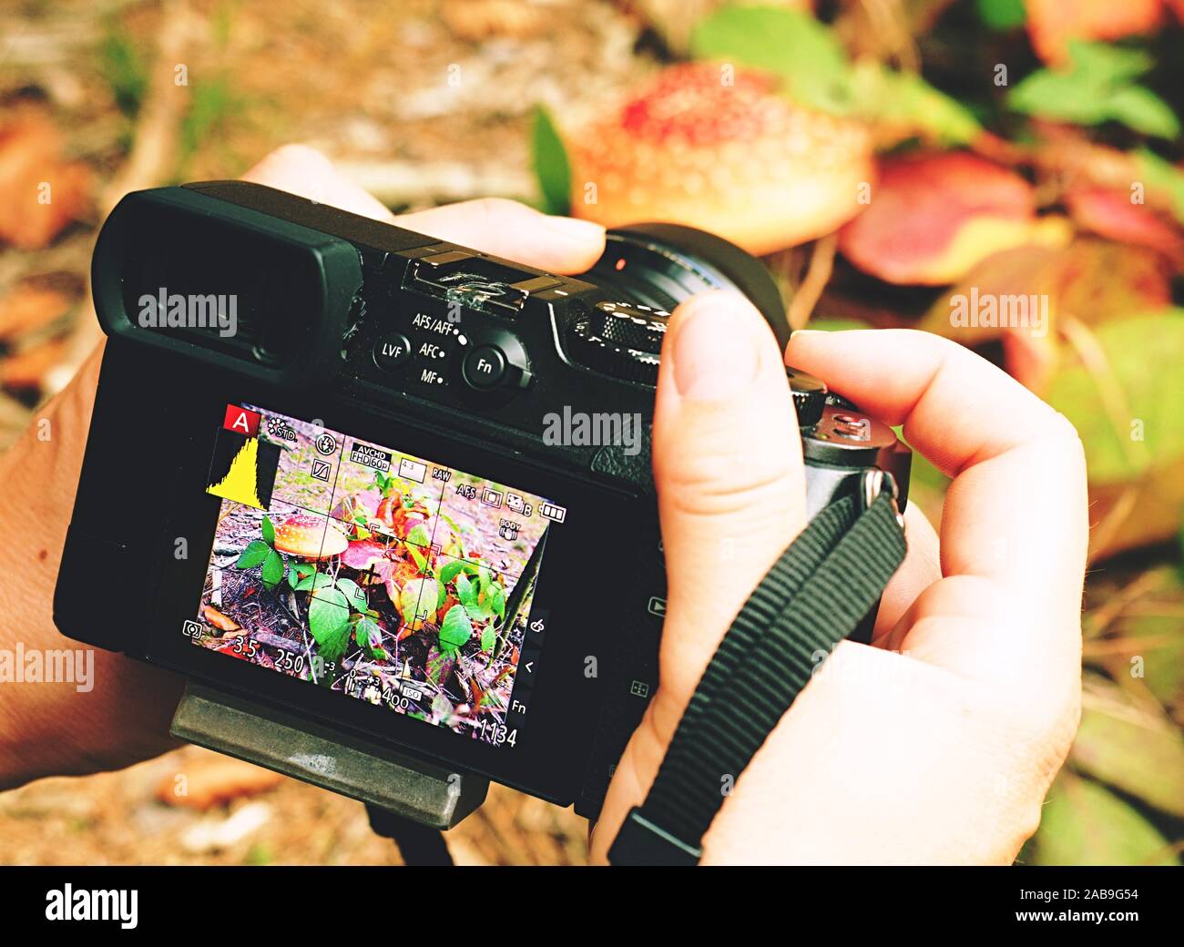 Digital camera in hands on blur leaf background taking photo for autumn ...