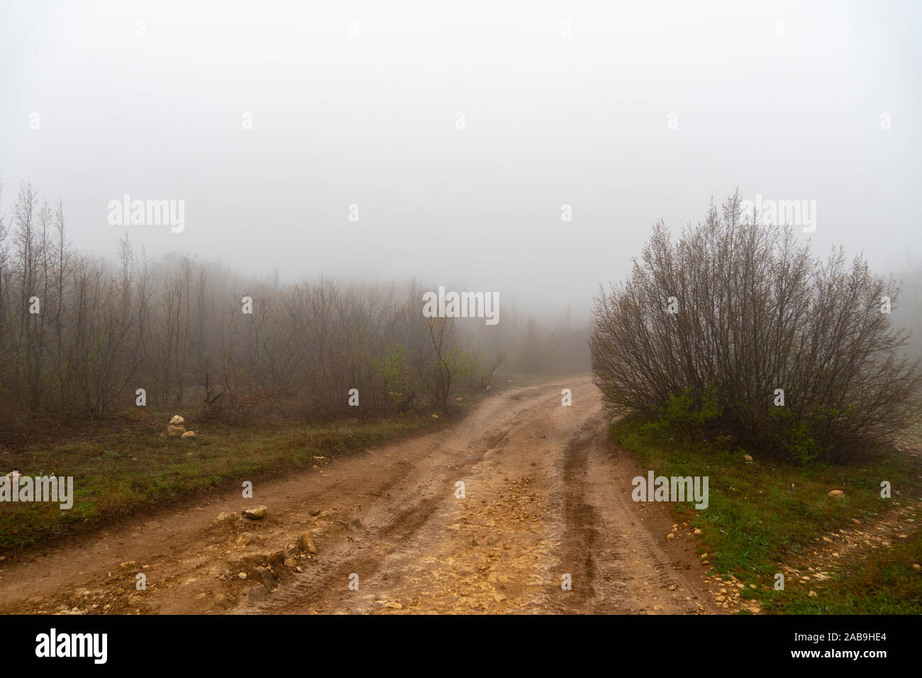 Mud and clay on a rural road in the rain Stock Photo - Alamy