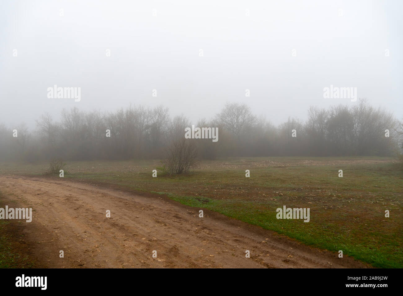 Fog and rain in the spring forest. Country road covered in mud and clay ...