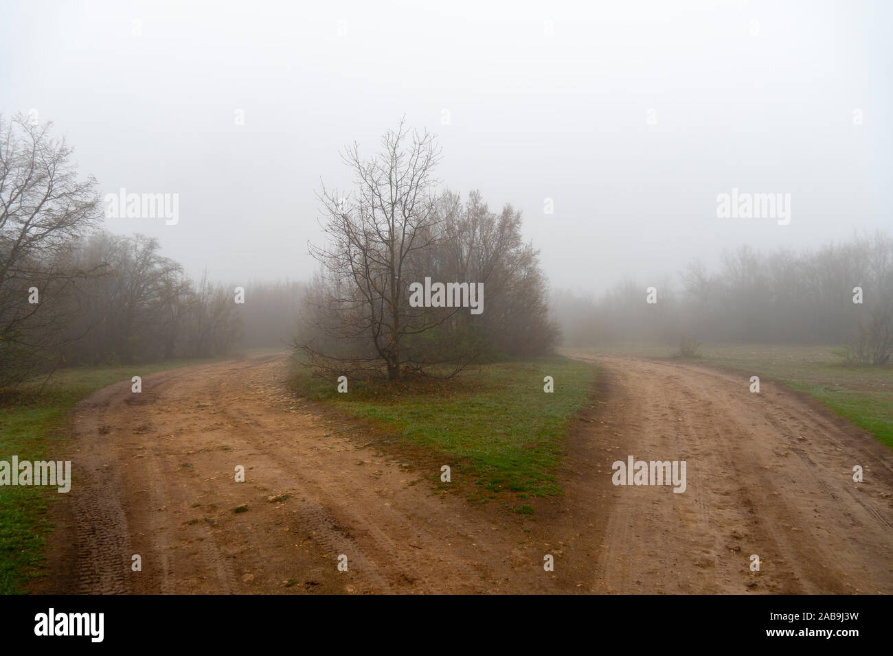 Fog and rain in the spring forest. Country road covered in mud and clay ...