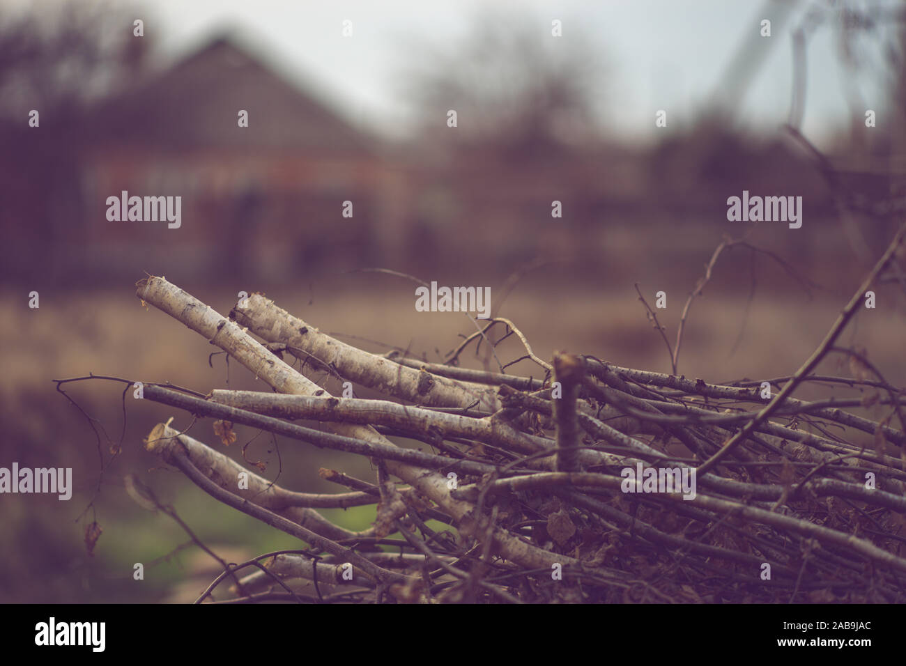 Pile dry sawn birch branches in the garden for fire or heating Stock ...