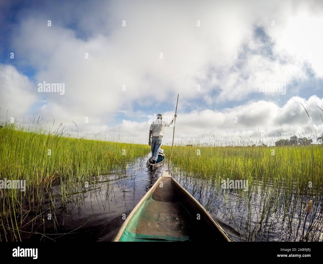 Mokoro canoe trip on the Okavango delta, Botswana Stock Photo - Alamy