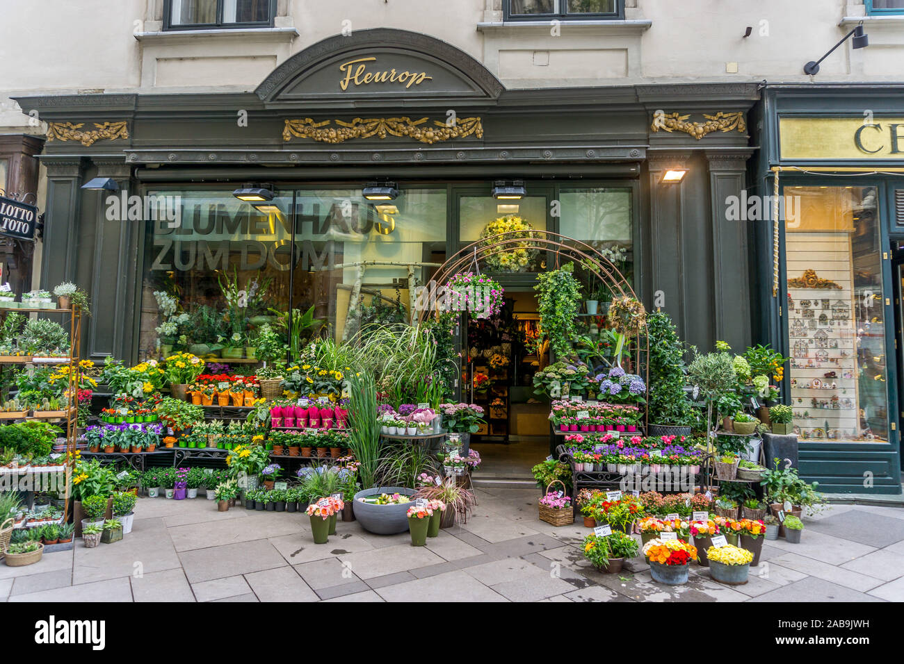 Vienna flowers hi-res stock photography and images - Alamy
