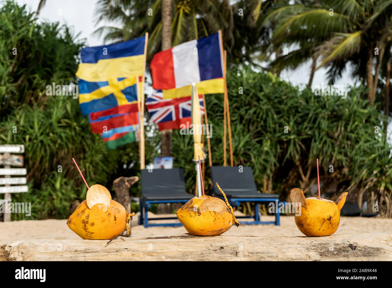 Golden coconuts on the beach on a background of flags of different ...