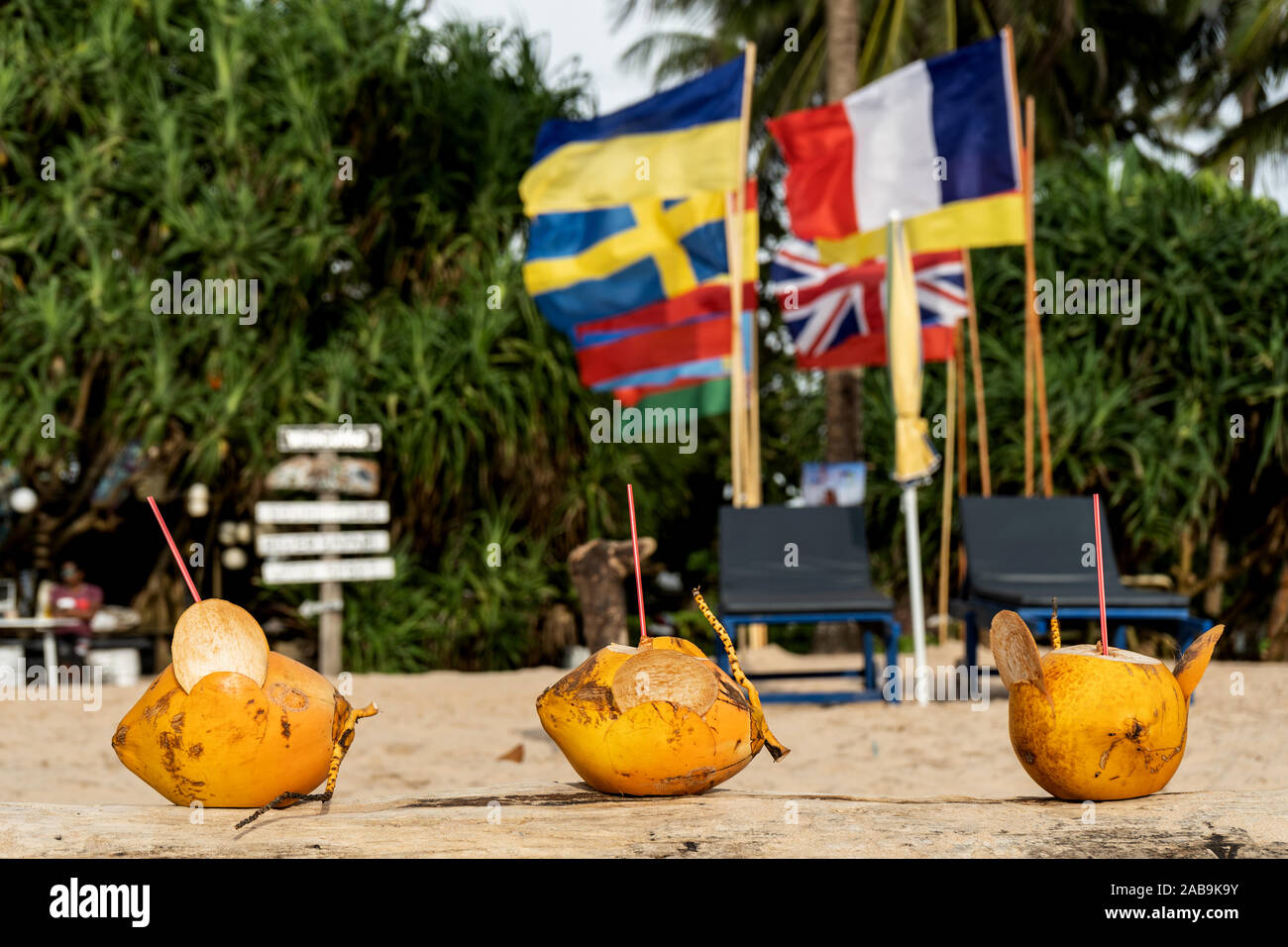 Golden coconuts on the beach on a background of flags of different ...