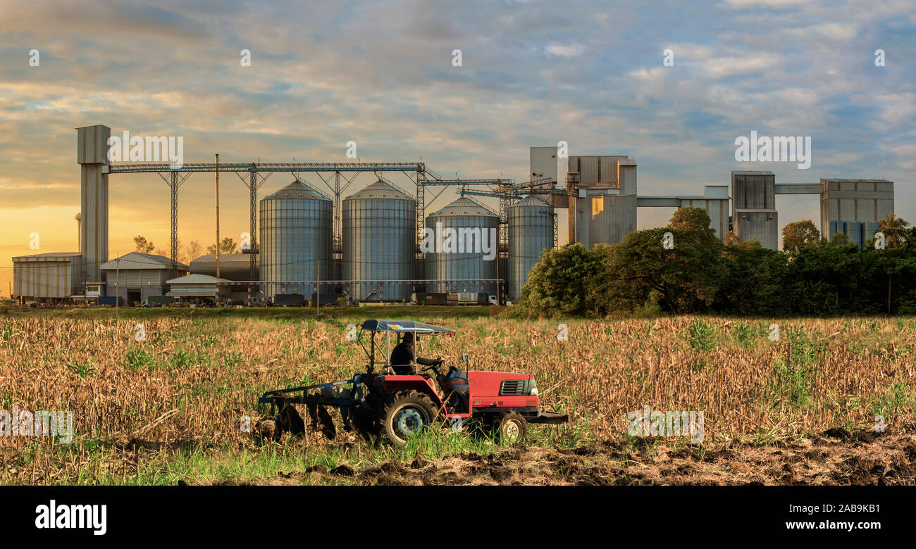 Agricultural Silos - Building Exterior, Storage and drying of grains ...