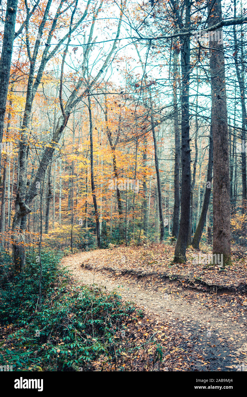 Istock High Resolution Stock Photography and Images - Alamy