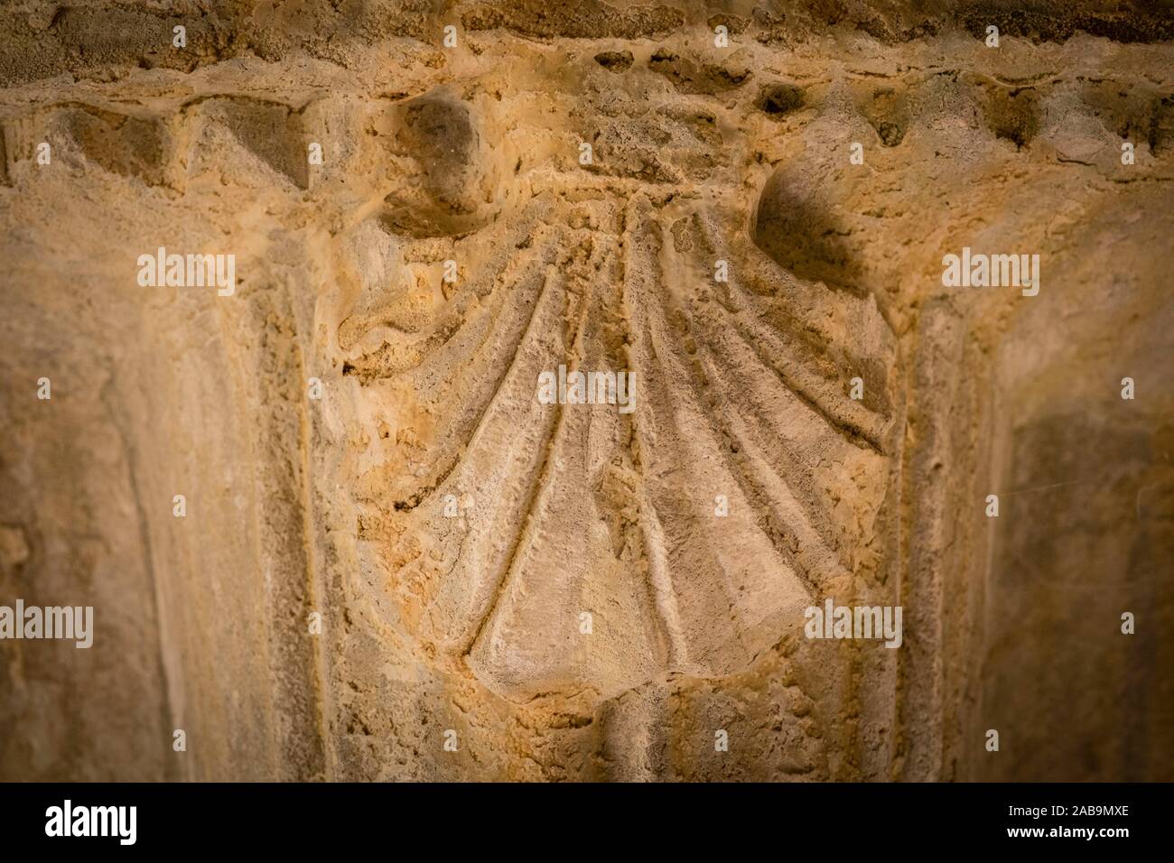 Concha de santiago hi-res stock photography and images - Alamy
