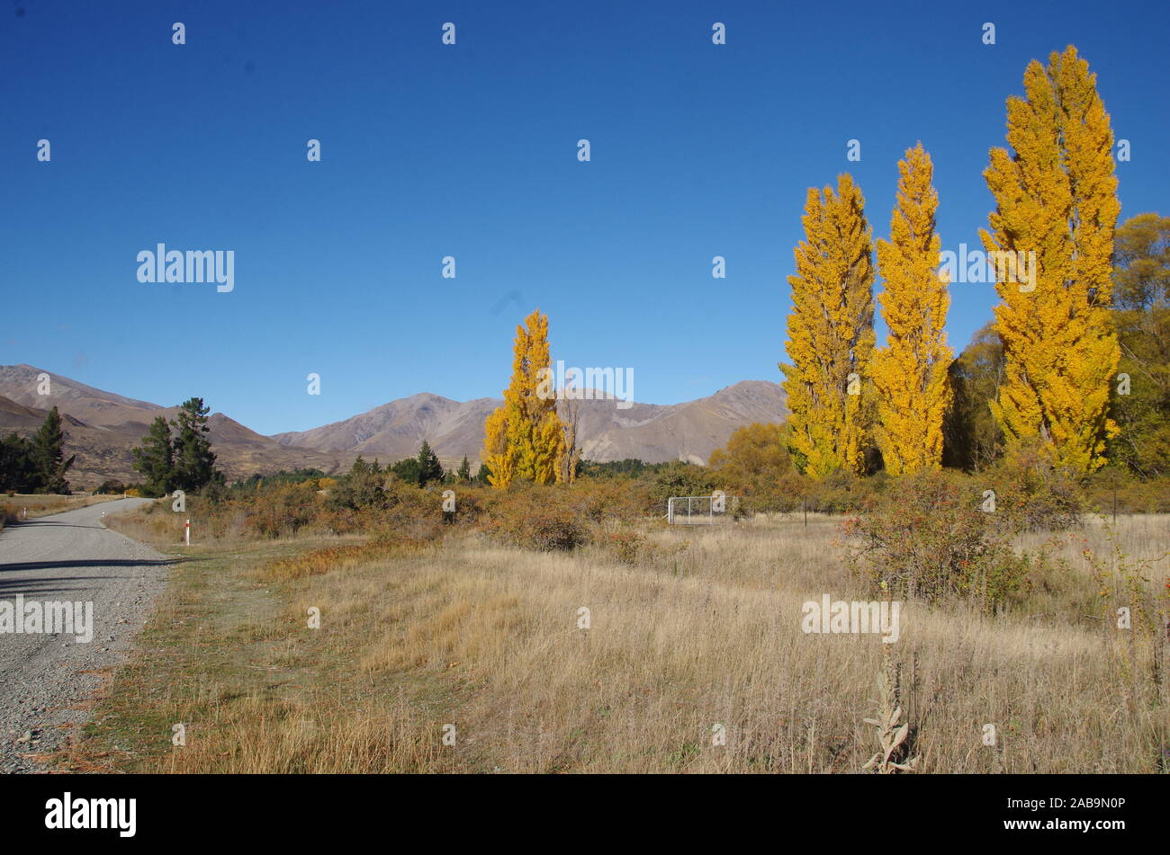 Te Araroa Trail. Two Thumb Track. Te Kahui Kaupeka Conservation Park ...