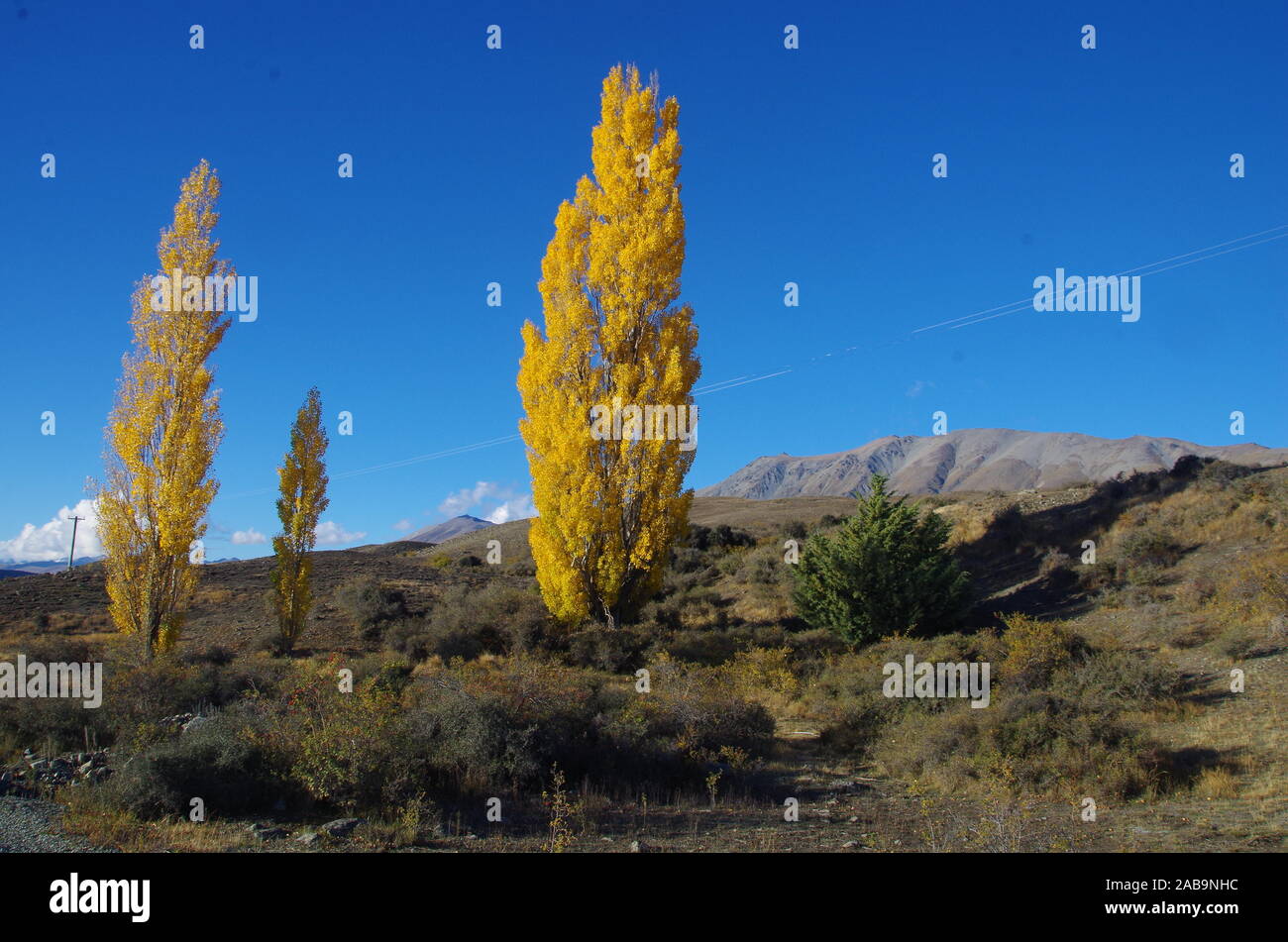 Te Araroa Trail. Two Thumb Track. Te Kahui Kaupeka Conservation Park ...