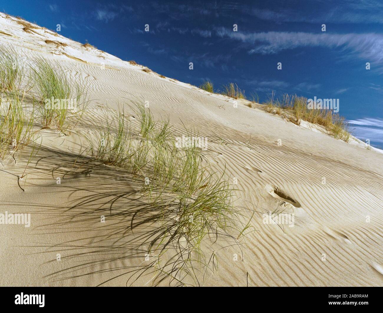 Highest dune of europe hi-res stock photography and images - Alamy
