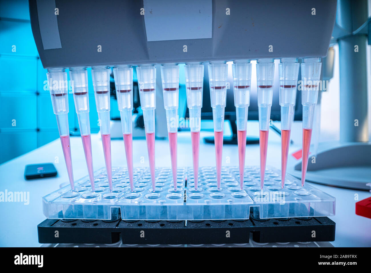 sample of biological sample for DNA analysis Stock Photo - Alamy