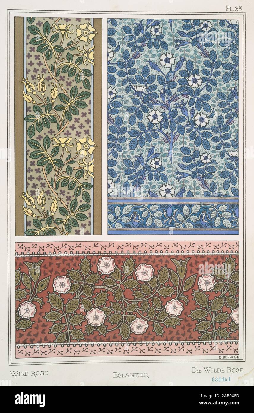 églantier hi-res stock photography and images - Alamy