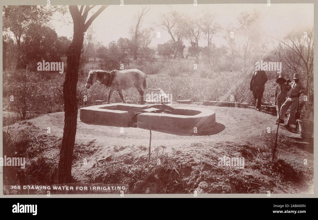 Drawing water for irrigating. Mayo & Weed (Photographer). Old Mexico ...