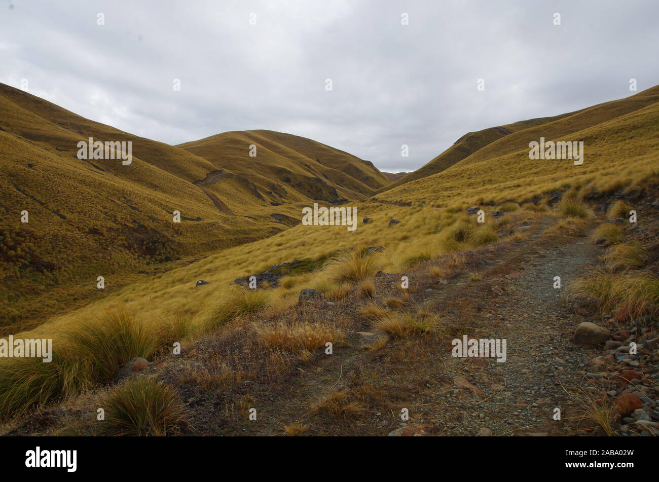 Te Araroa Trail. Two Thumb Track. Te Kahui Kaupeka Conservation Park ...