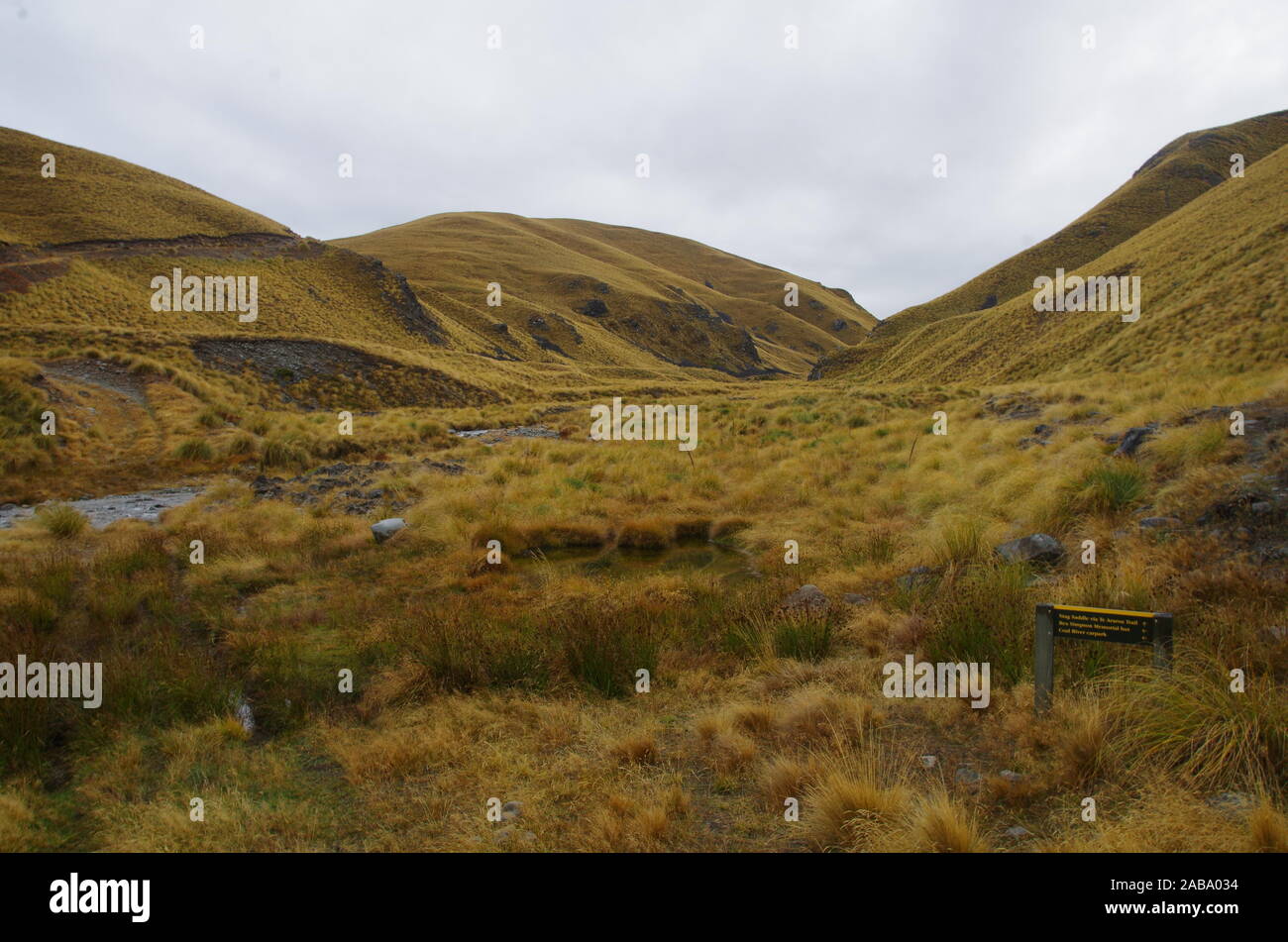 Te Araroa Trail. Two Thumb Track. Te Kahui Kaupeka Conservation Park ...