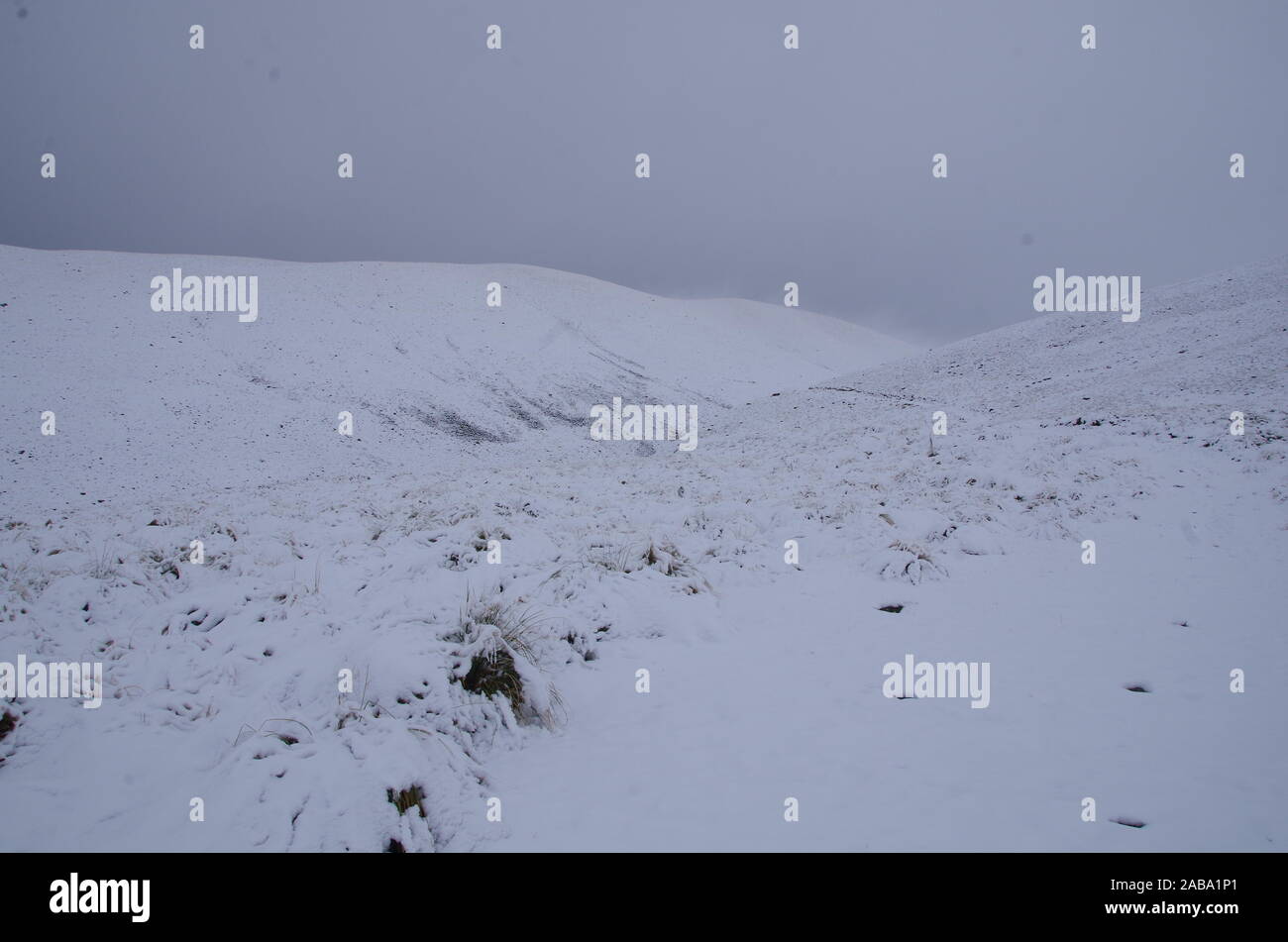 Te Araroa Trail. Two Thumb Track. Te Kahui Kaupeka Conservation Park ...