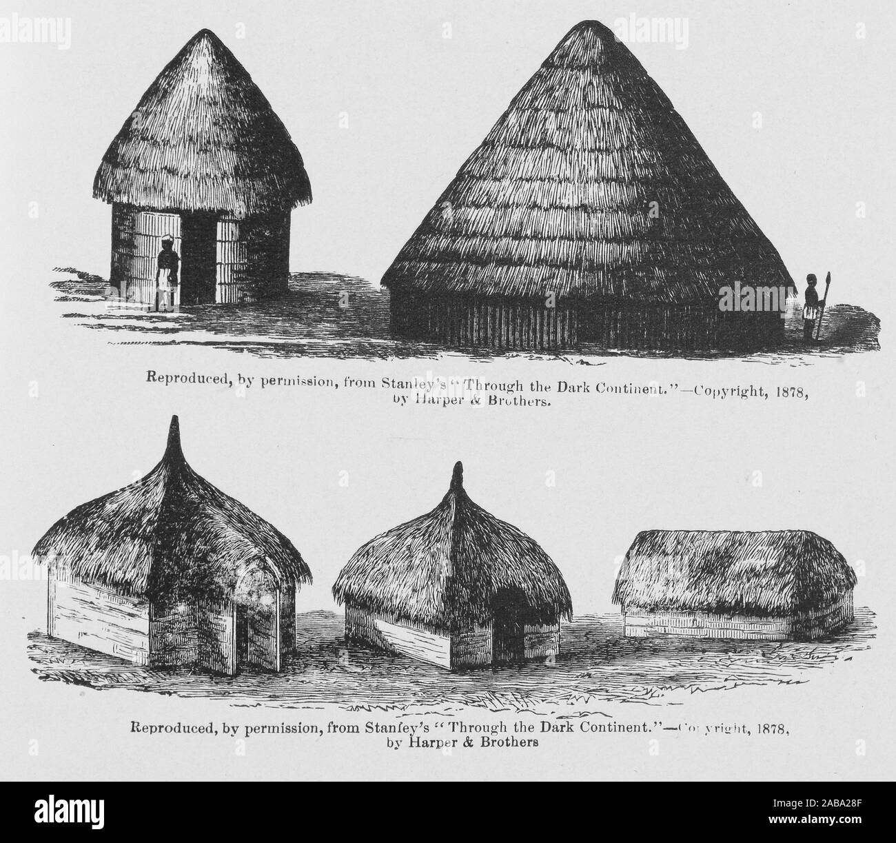 African human evolution hi-res stock photography and images - Alamy