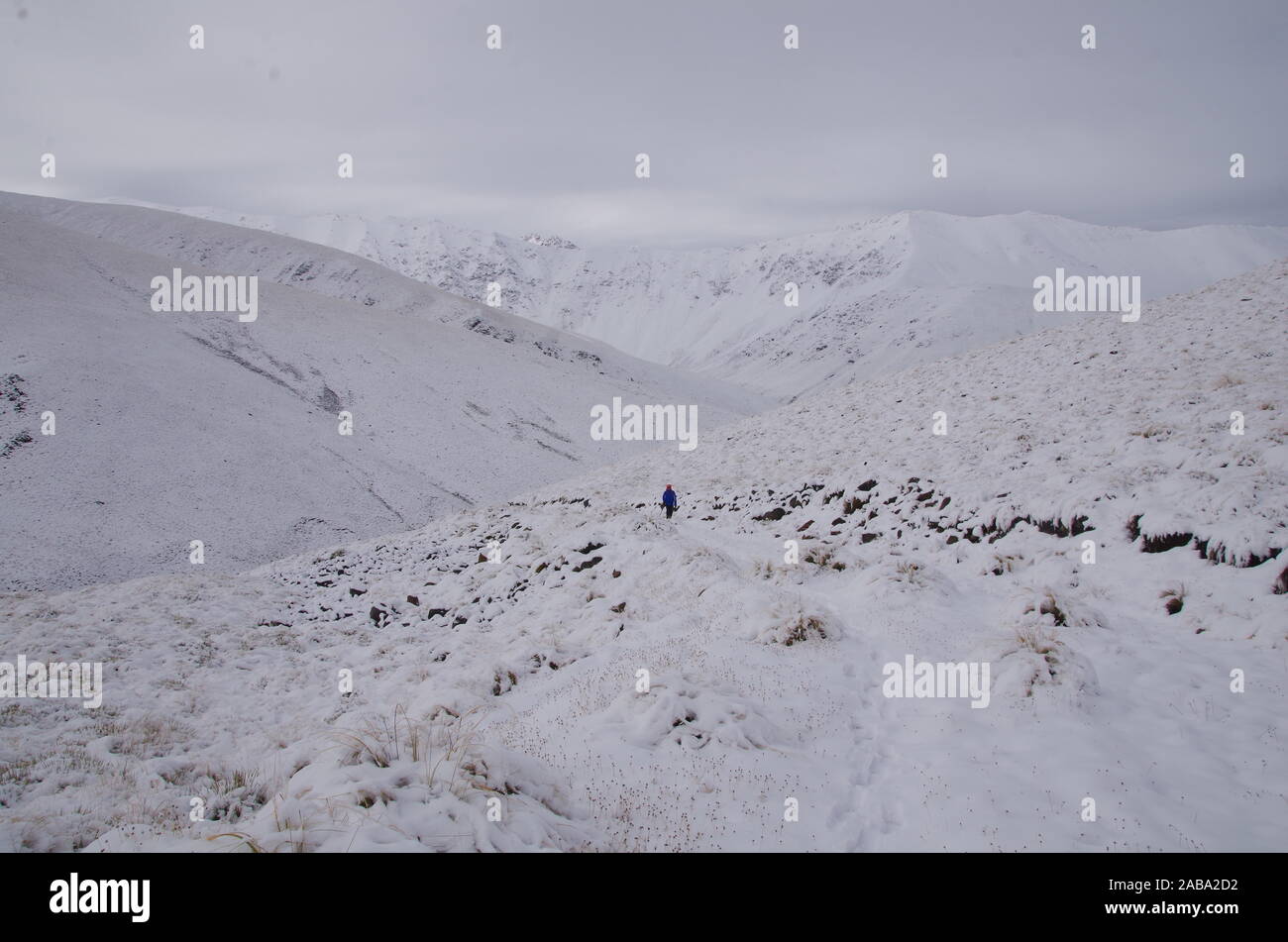 Te Araroa Trail. Two Thumb Track. Te Kahui Kaupeka Conservation Park ...