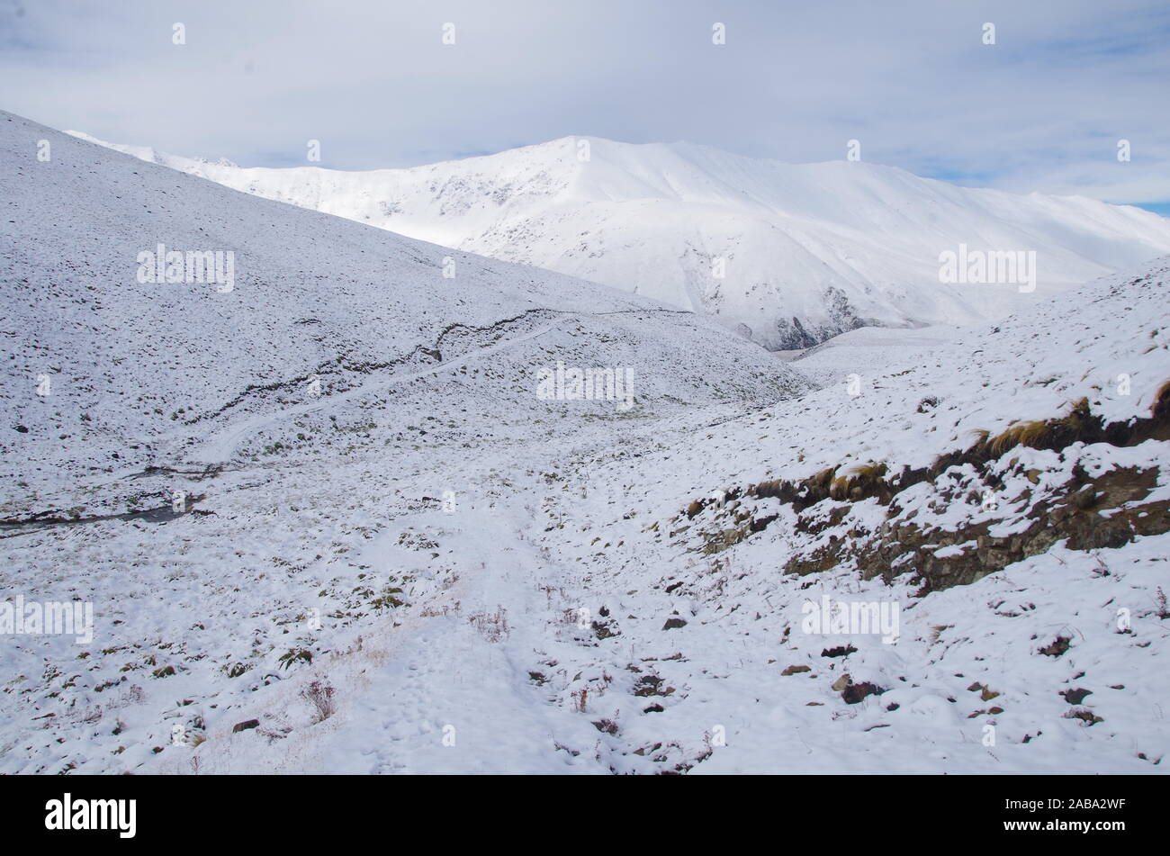 Te Araroa Trail. Two Thumb Track. Te Kahui Kaupeka Conservation Park ...