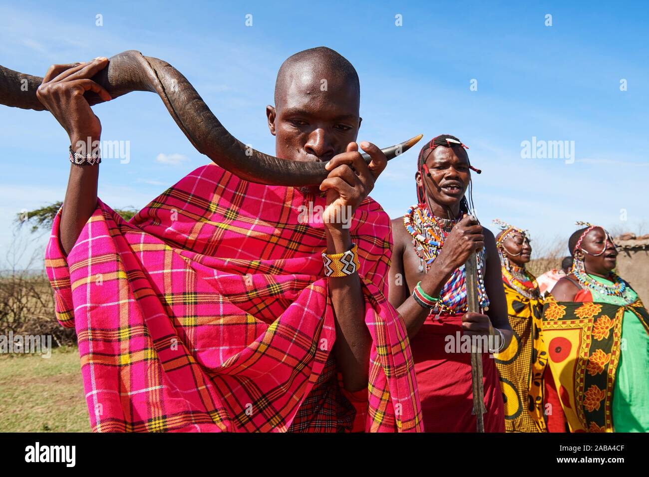 Ikudu hi-res stock photography and images - Alamy