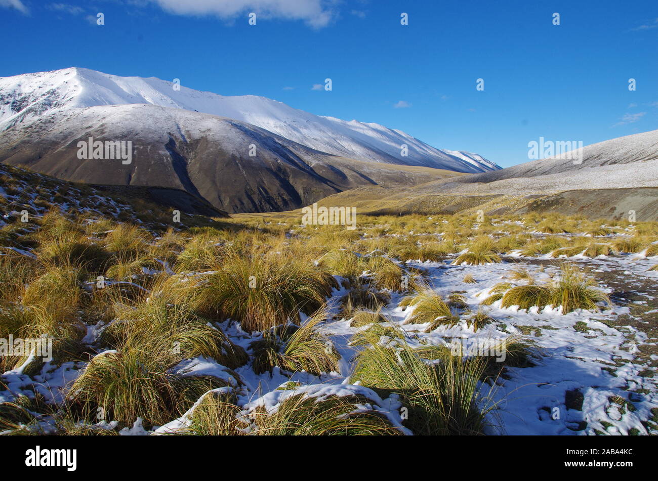 Te Araroa Trail. Two Thumb Track. Te Kahui Kaupeka Conservation Park ...