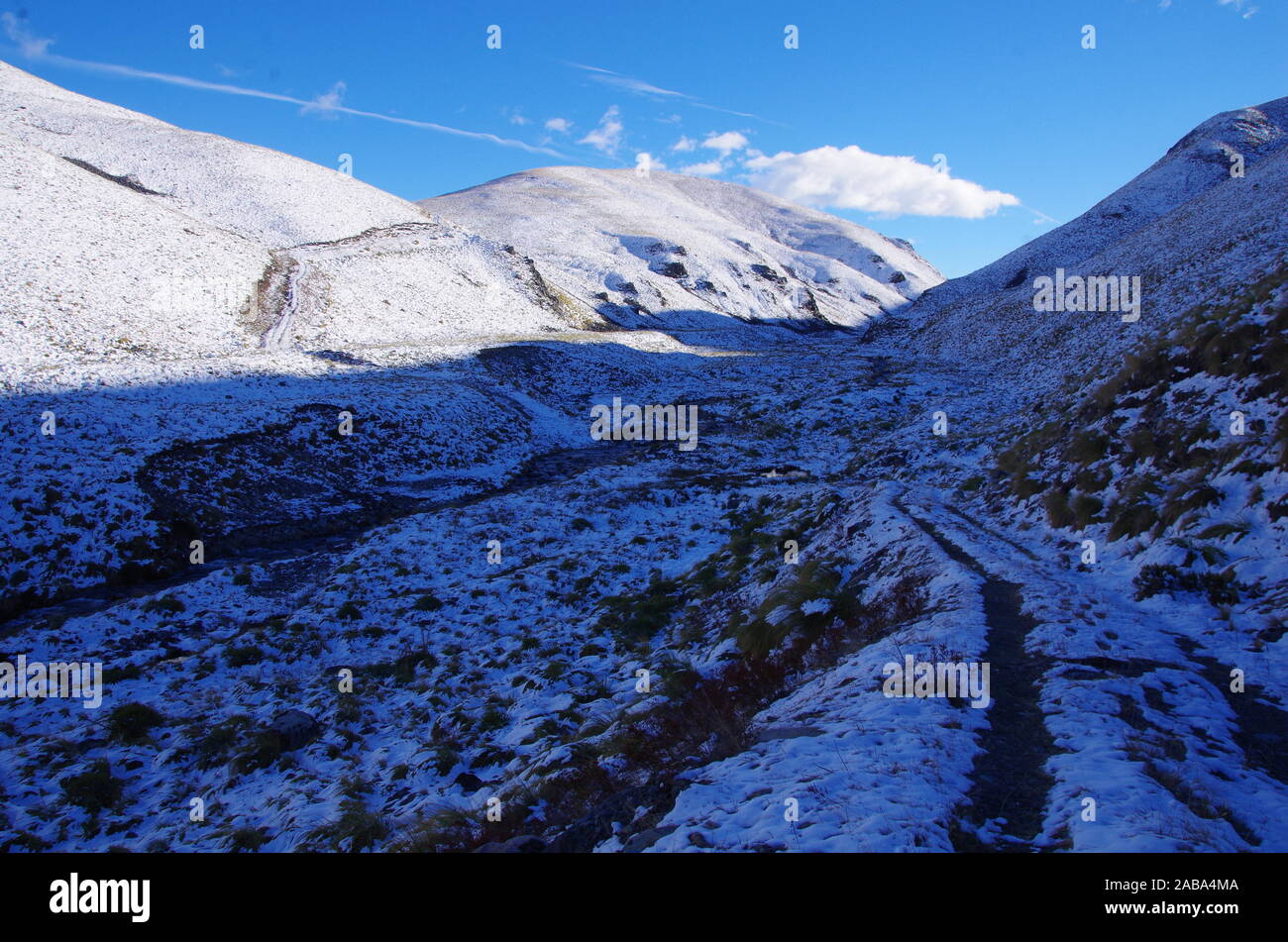 Te Araroa Trail. Two Thumb Track. Te Kahui Kaupeka Conservation Park ...