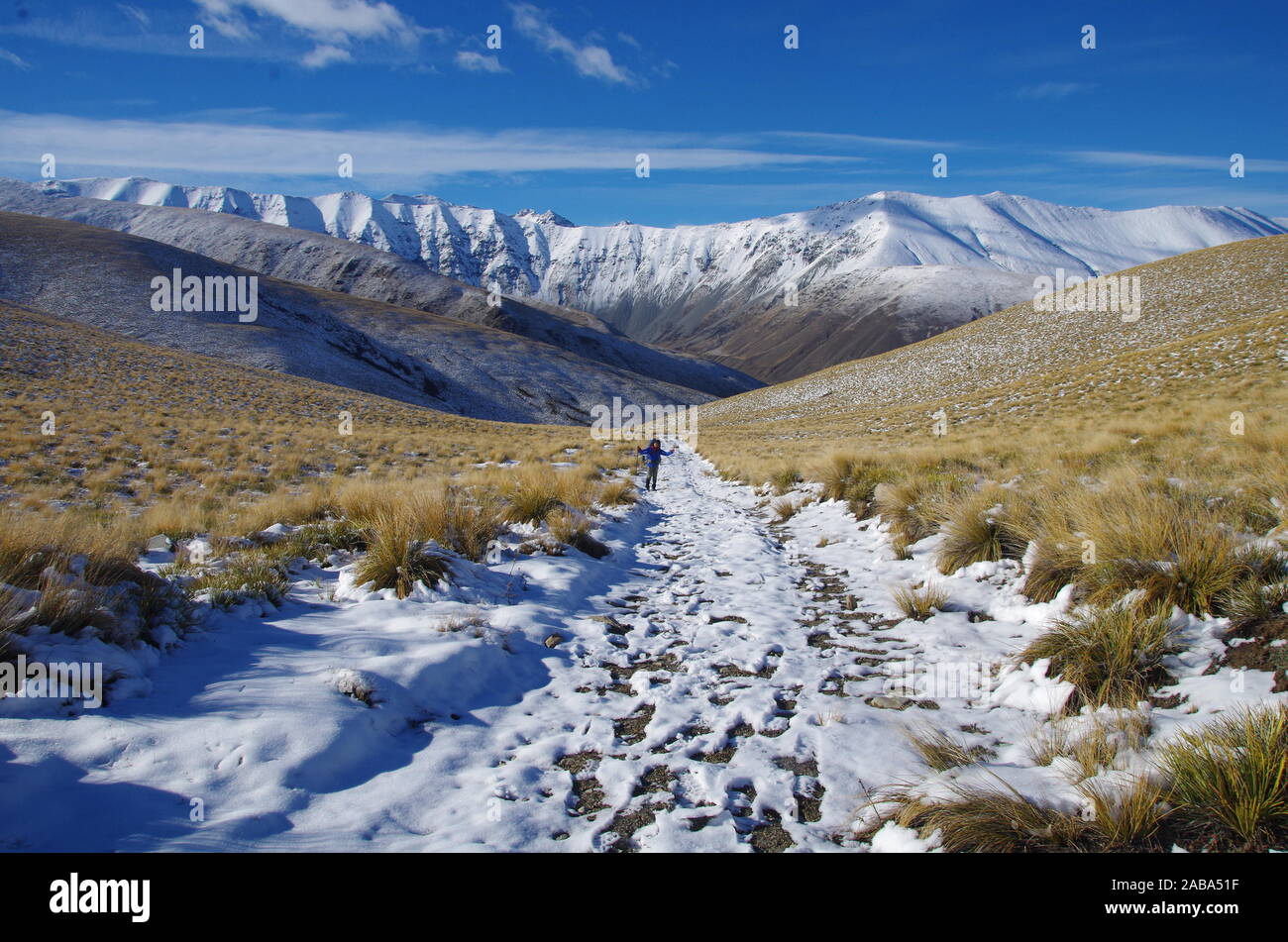 Te Araroa Trail. Two Thumb Track. Te Kahui Kaupeka Conservation Park ...