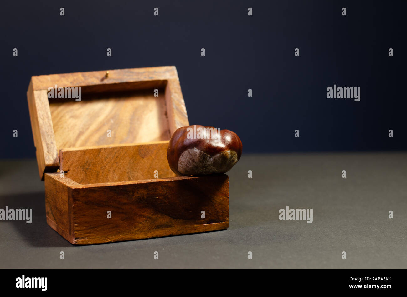 Chestnut resting on wooden box, dark blue background, wallpaper ...