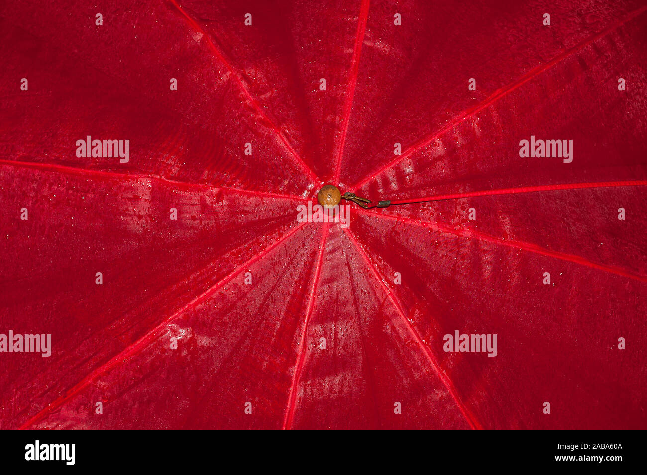 Red umbrella rain hi-res stock photography and images - Alamy