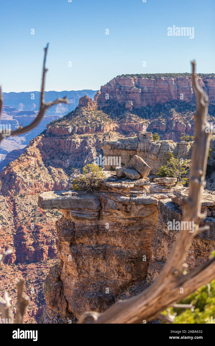 Grand canyon national park north rim hi-res stock photography and ...