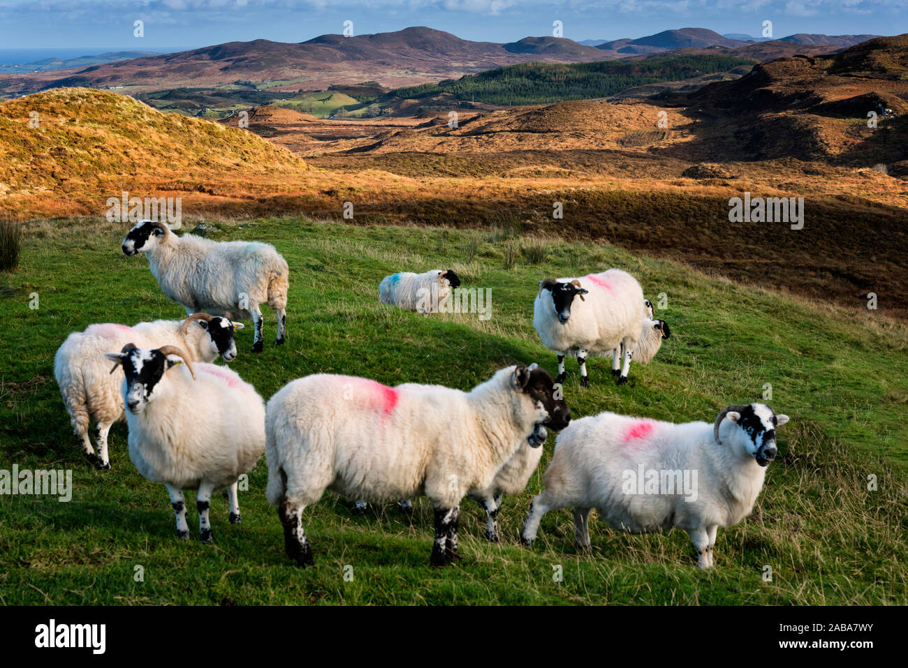 Lough salt mountain hi-res stock photography and images - Alamy