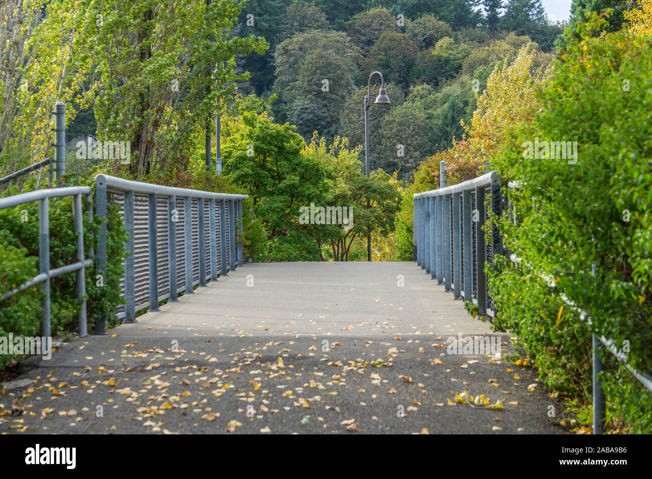 Seattle jack block park hi-res stock photography and images - Alamy