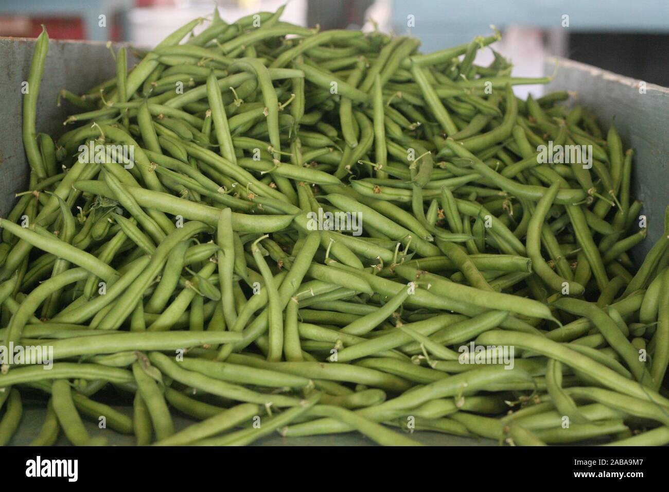 Alabama agriculture hi-res stock photography and images - Alamy