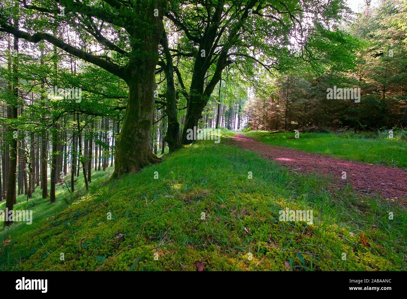 Slieve Bloom High Resolution Stock Photography and Images - Alamy